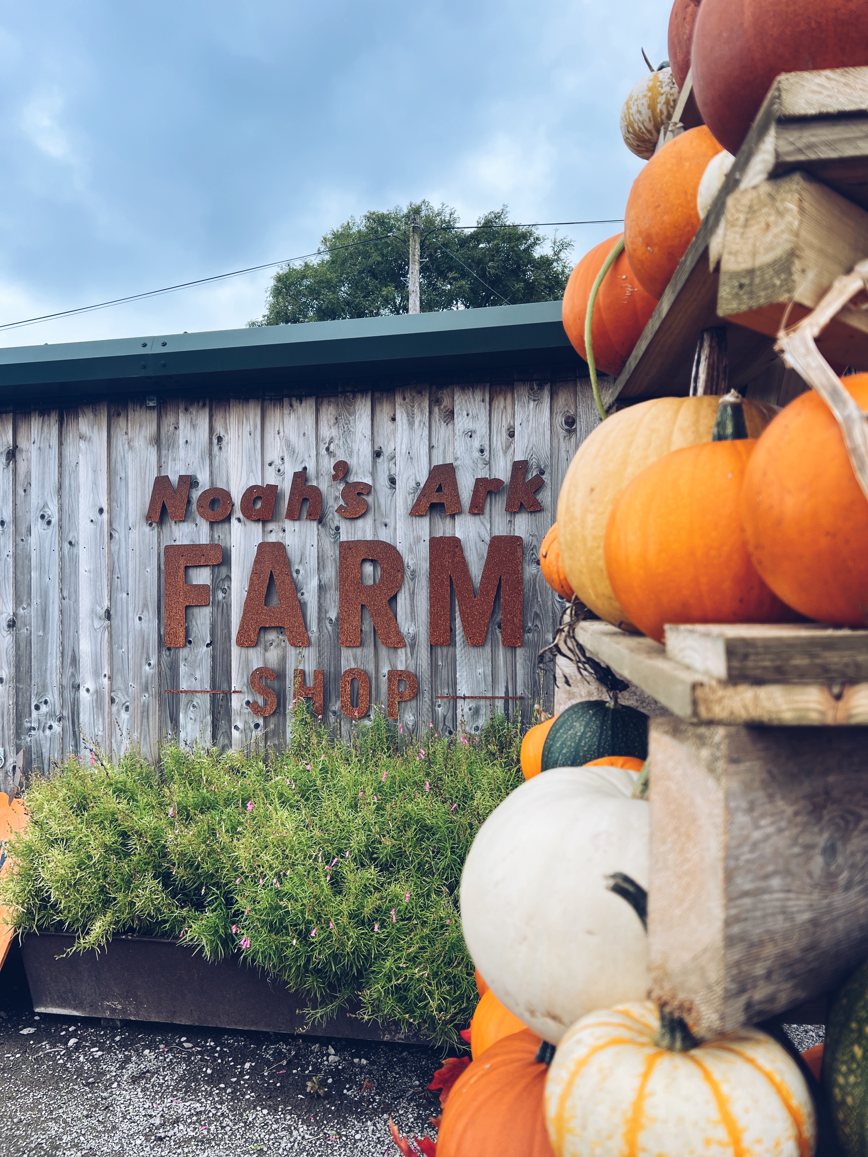 Moat Farm | Noah's Ark Farm Zoo
